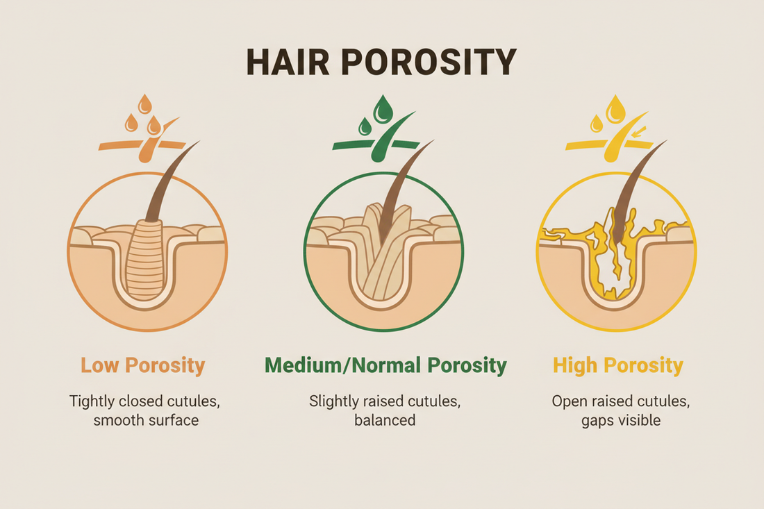 How to Determine Your Hair Porosity: Complete Guide + Product ...